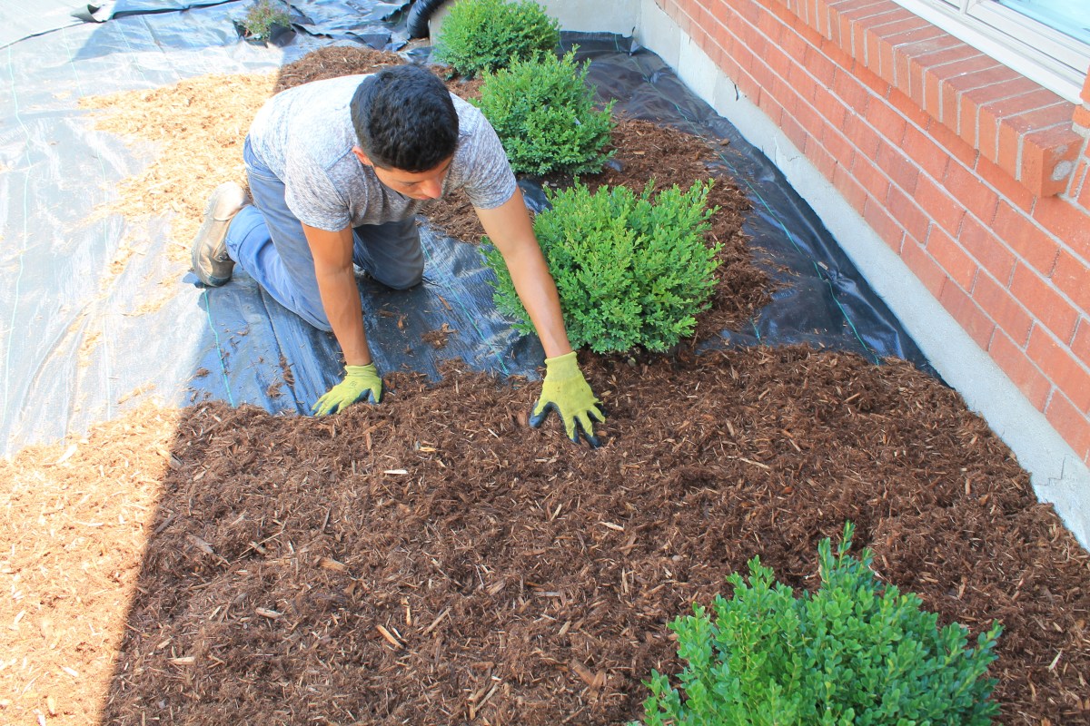 Mulch & Aggregate Application – PURE LIFE WORKS